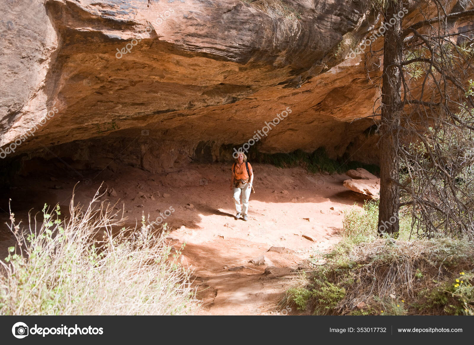 Nature Reserve Protected Area Importance Flora Fauna Features ...
