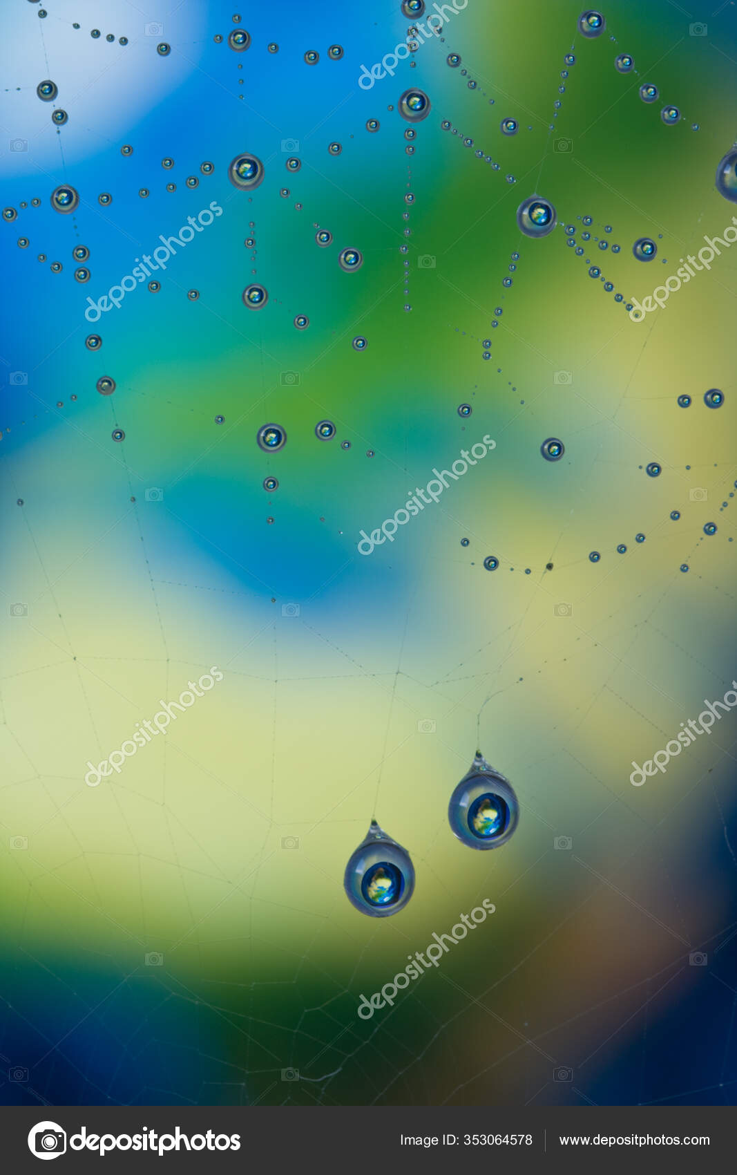 Spider Web Insect Trap — Stock Photo © PantherMediaSeller #353064578