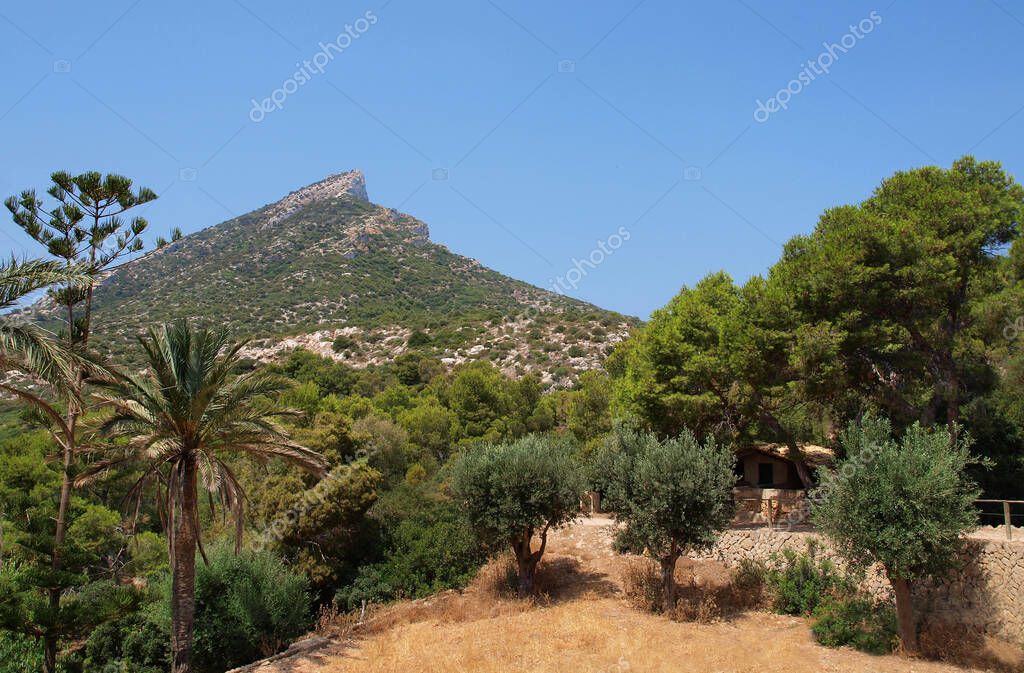 reserva natural, es un área protegida de importancia para la flora y la ...