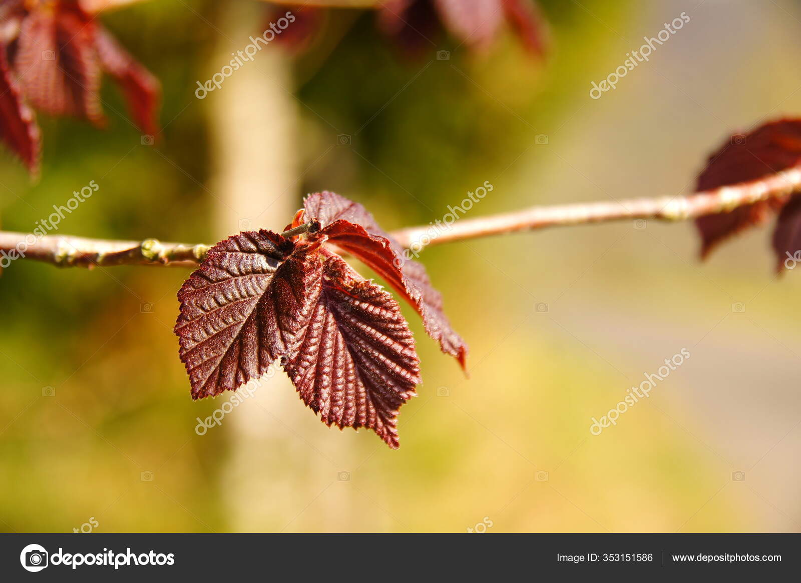 Blood On The Leaves Tree