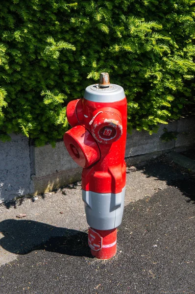 fire hydrant in the park - Stock Image - Everypixel
