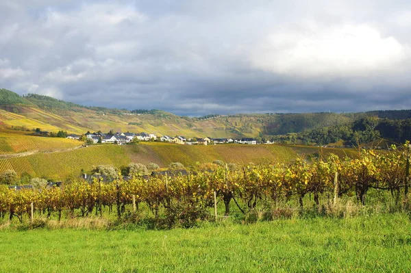 Kinheim Stock Photos, Royalty Free Kinheim Images | Depositphotos