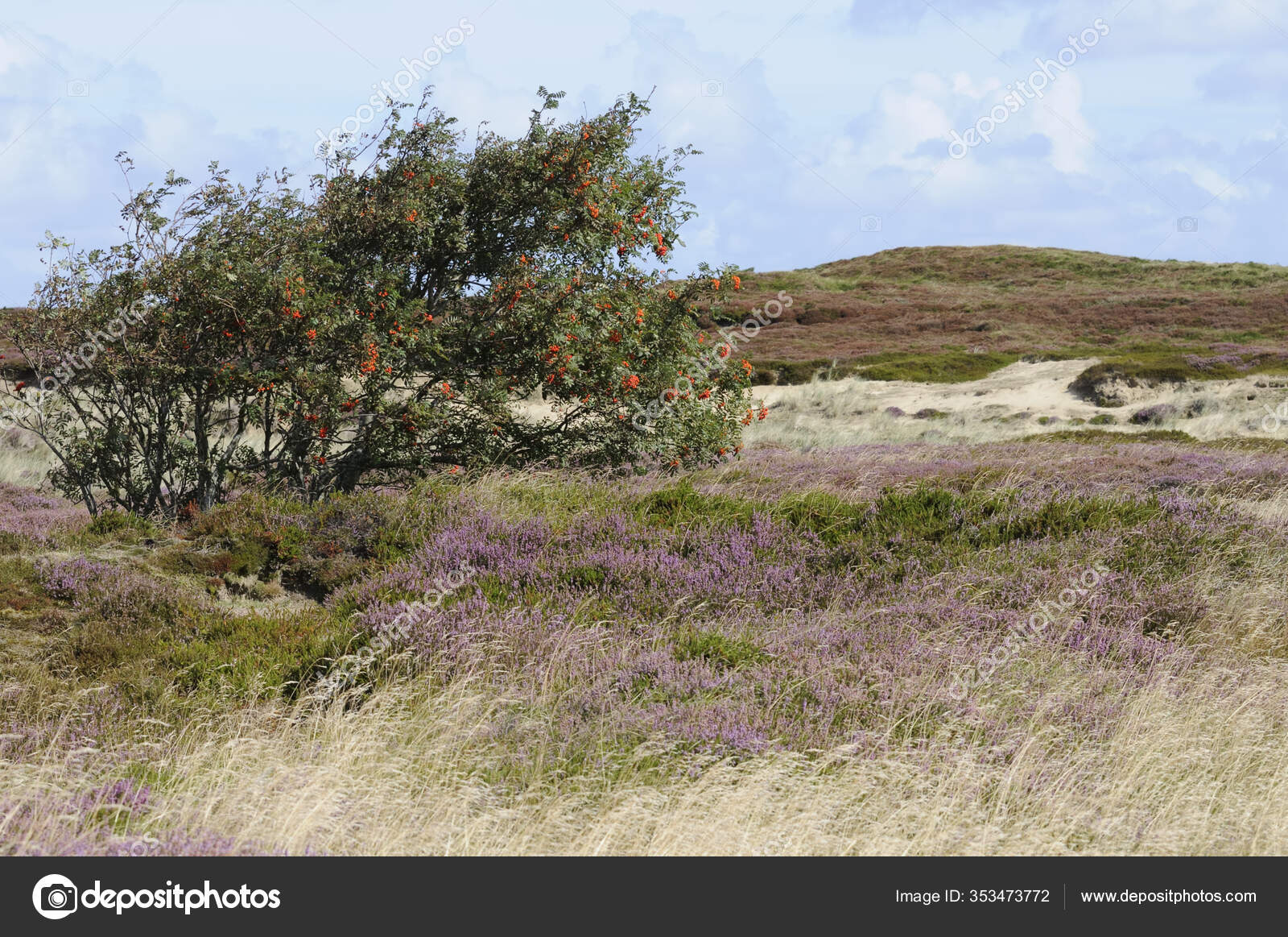 Nature Reserve Protected Area Importance Flora Fauna Features ...