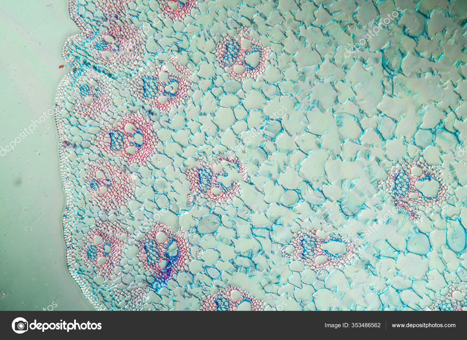 Microscope View Abstract Background Blue Purple Surface — Stock Photo ...