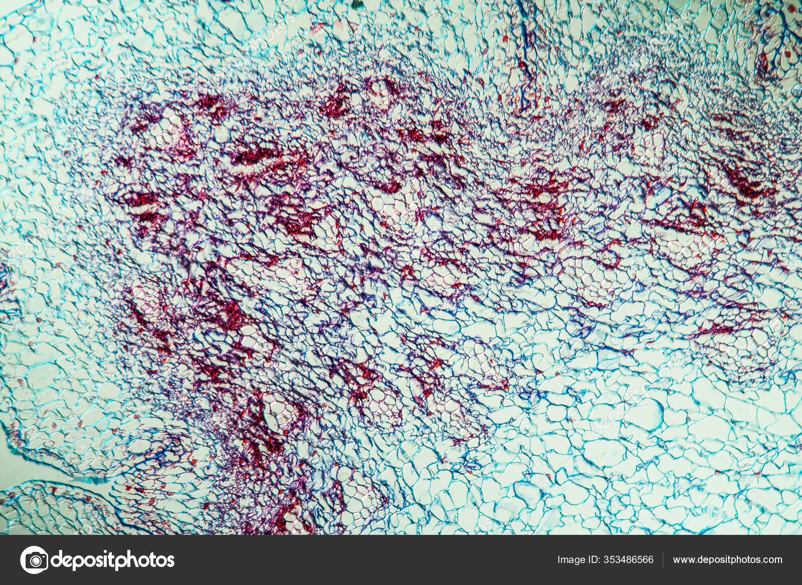 Microscope View Abstract Background Blue Purple Surface — Stock Photo ...