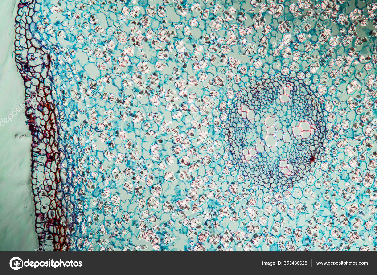 Microscope View Abstract Background Blue Purple Surface — Stock Photo ...