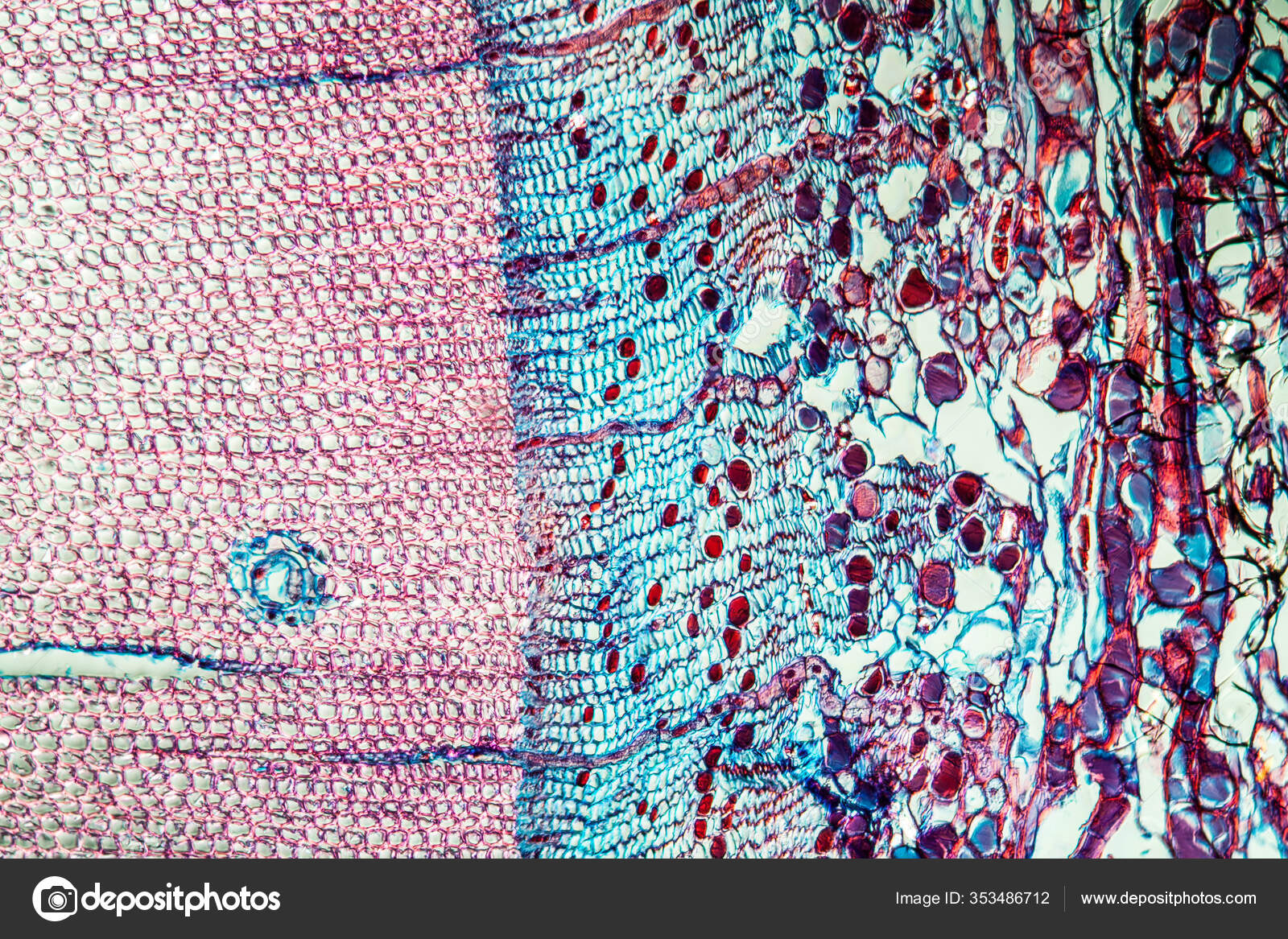 Microscope View Abstract Background Blue Purple Surface Stock ...