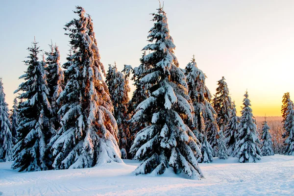 Snow sift Stock Photos, Royalty Free Snow sift Images | Depositphotos