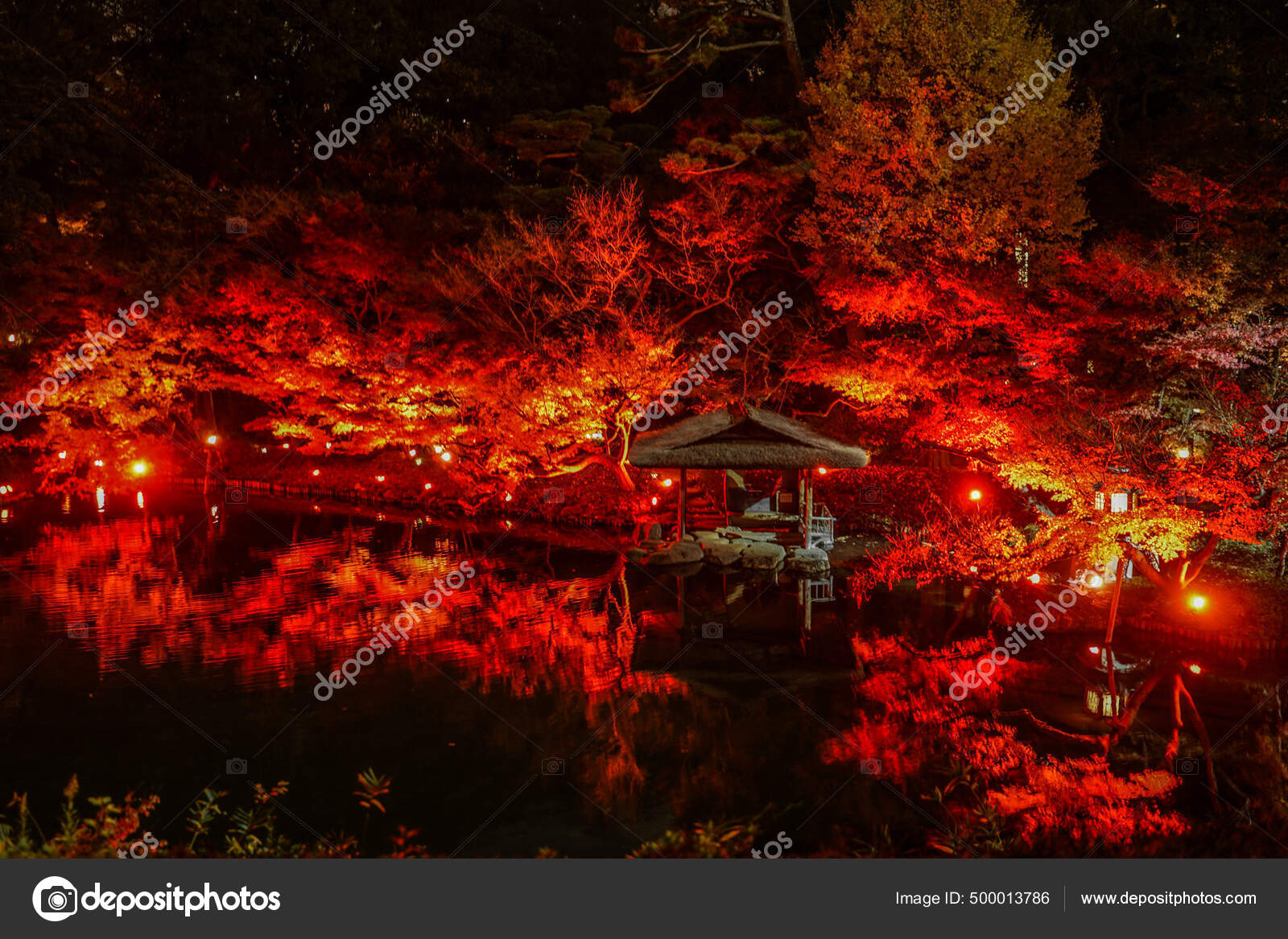 Autumn Leaves Red Illuminated Japanese Garden Shooting Location Tokyo ...