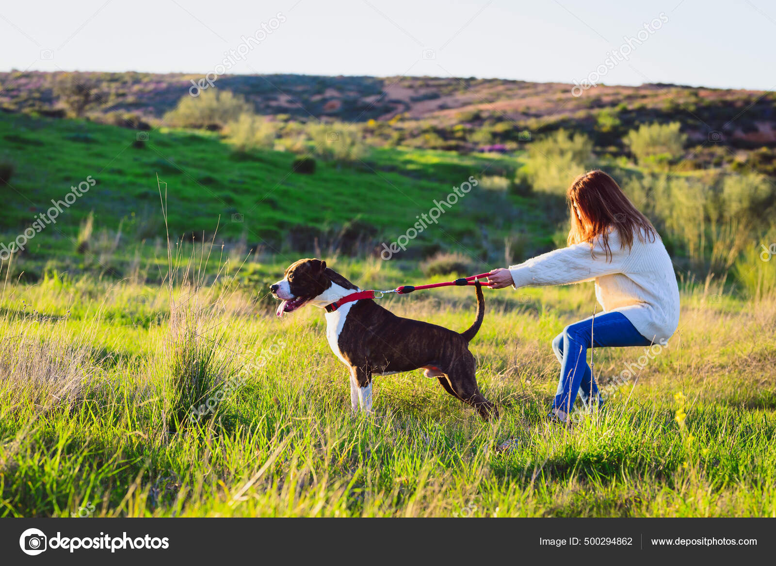 What Is A Dog Drag Leash