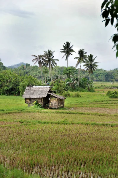 Philippines rural Stock Photos, Royalty Free Philippines rural Images ...