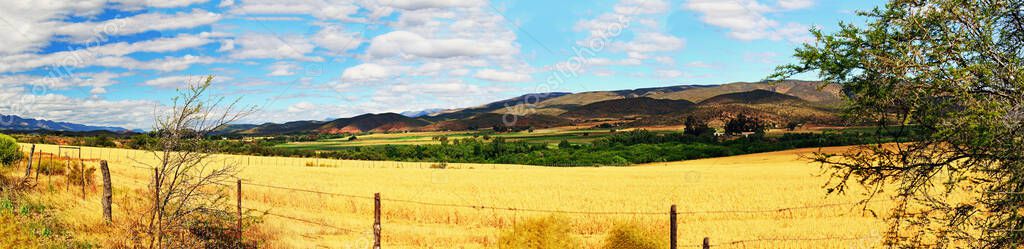 Kis karoo Stock Photos, Royalty Free Kis karoo Images | Depositphotos