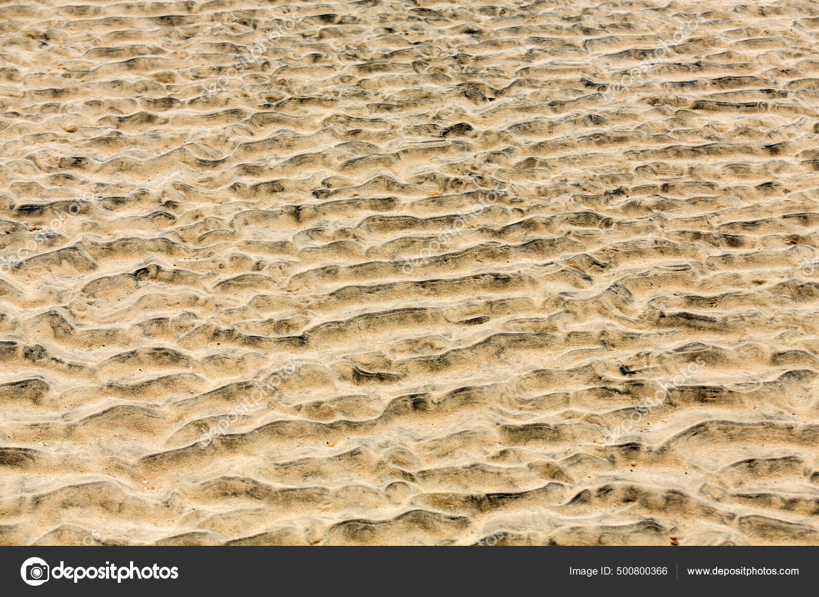 Closeup Sand Pattern Beach Summer — Stock Photo © PantherMediaSeller ...