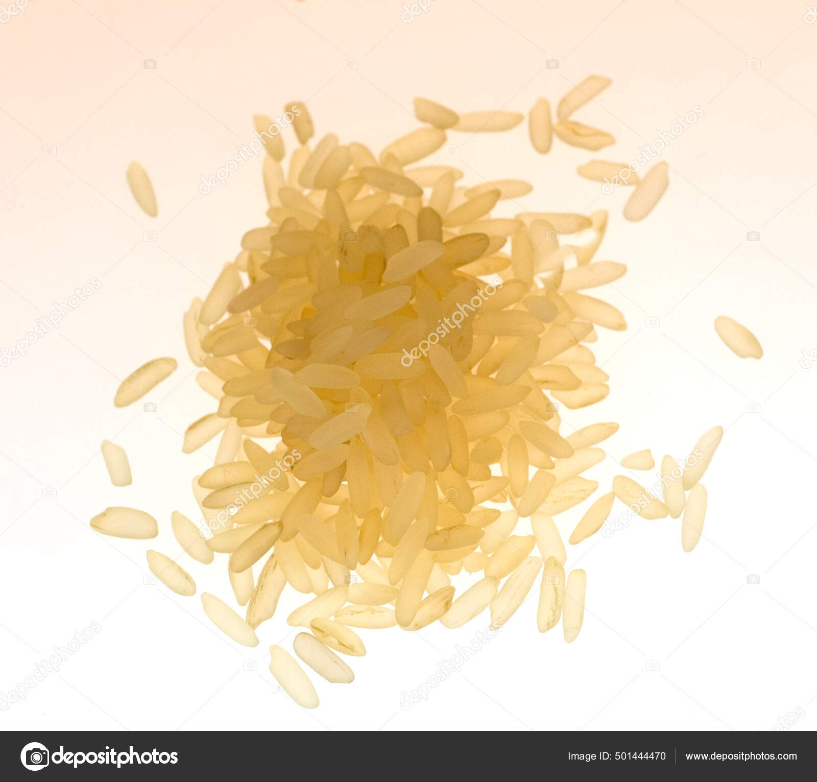 Rice Grains Isolated White Background — Stock Photo ...