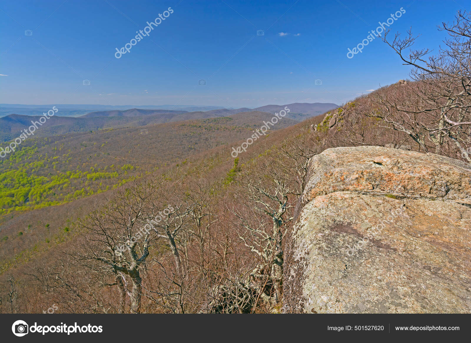 Early Spring Appalachians Shenandoah National Park Virginia Stock Photo ...