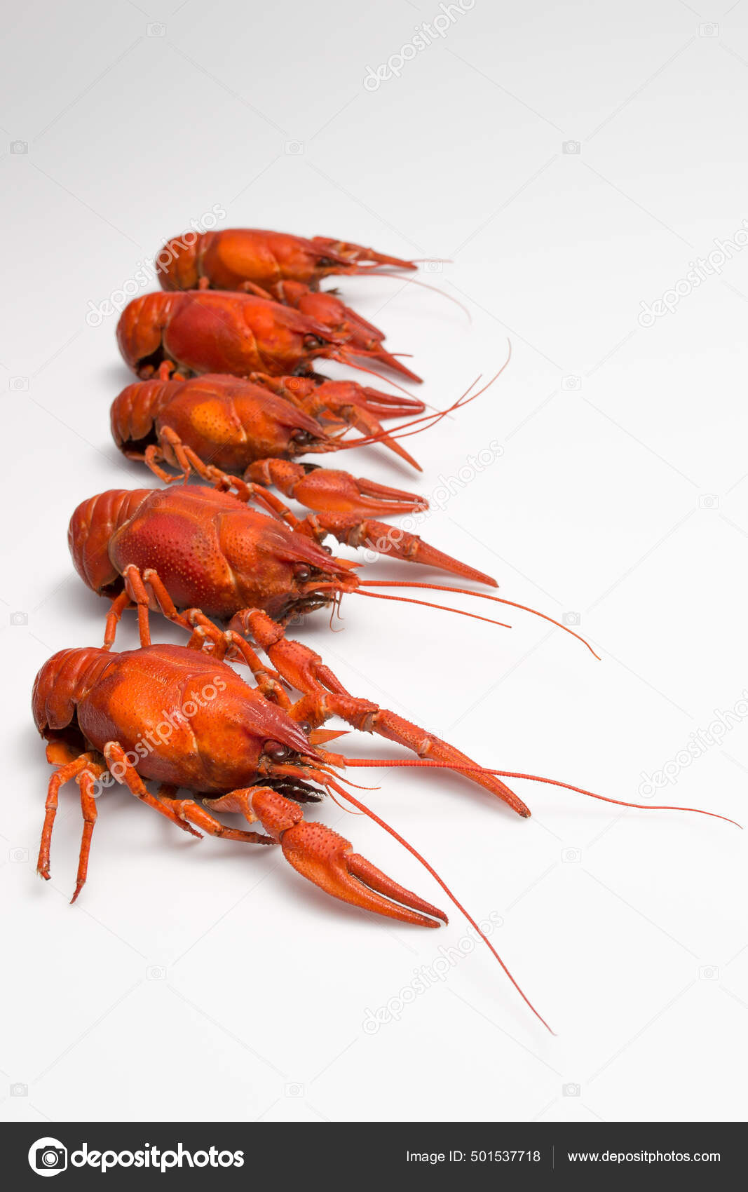 Red Cooked Crayfish White Background — Stock Photo © PantherMediaSeller ...