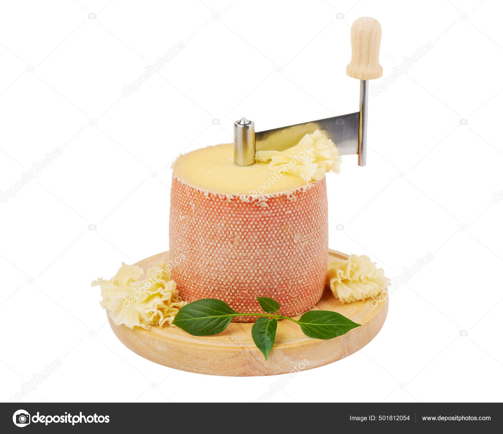 Head Cheese Tete Moine Girolle Isolated White Background Stock Photo by ...