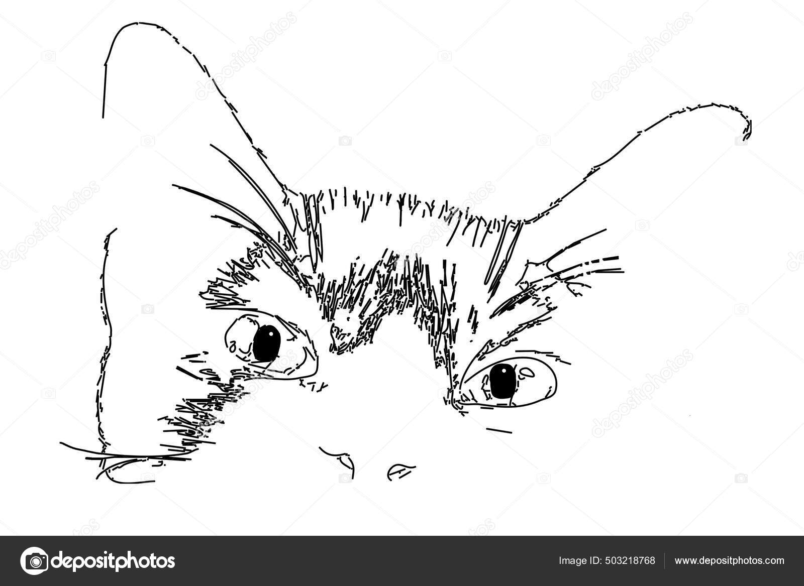 Black White Illustration Cat Stock Illustration by ©PantherMediaSeller ...