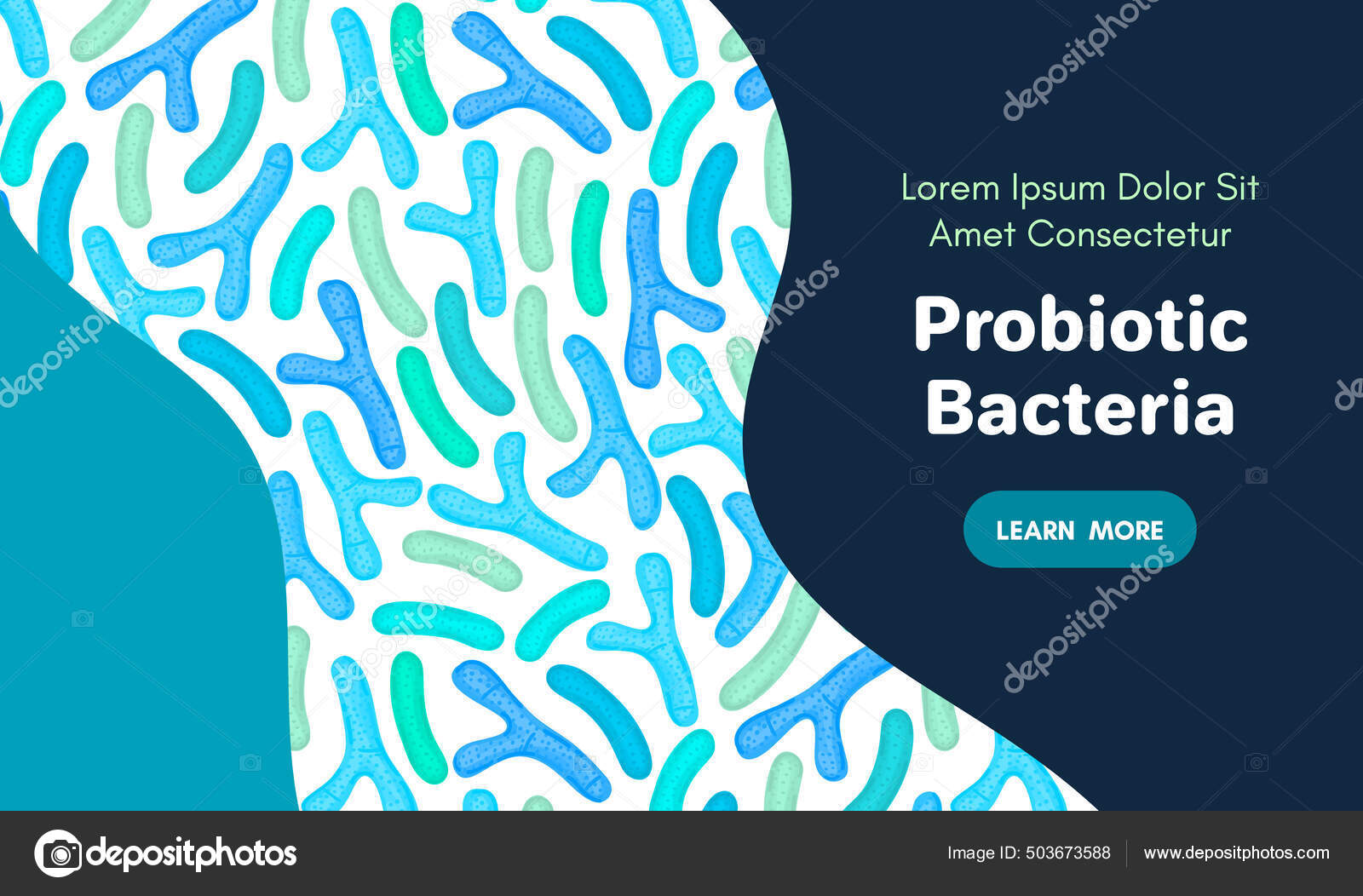 Vector Background Probiotics Bifidobacterium Lactobacillus Lactic Acid ...