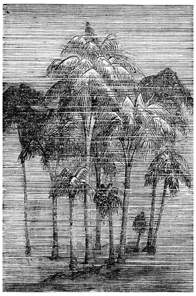 Motif of the drawing Stock Photos, Royalty Free Motif of the drawing ...