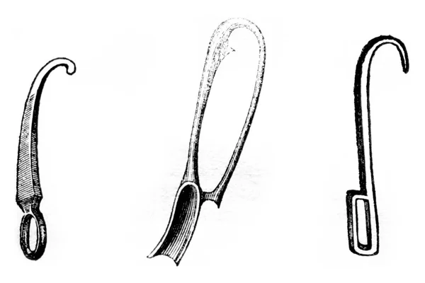 Images of a cleft stick Stock Photos, Royalty Free Images of a cleft ...