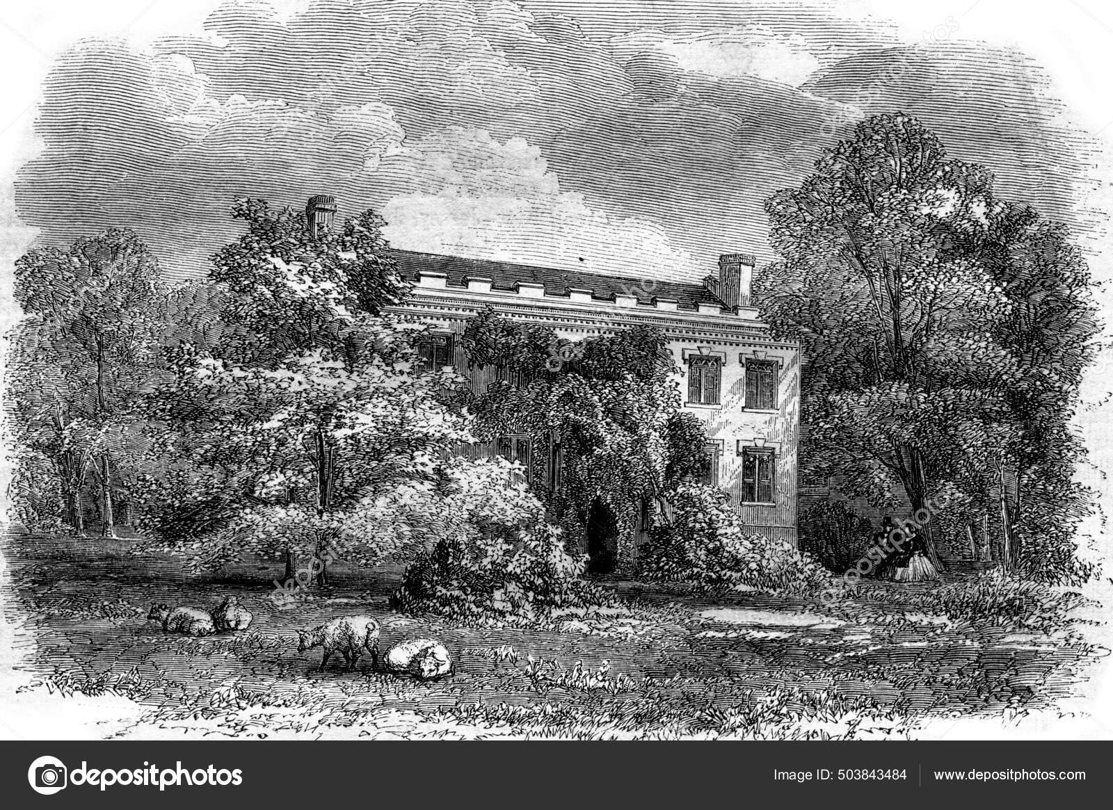House Fenimore Cooper Cooperstown Vintage Engraved Illustration Magasin ...