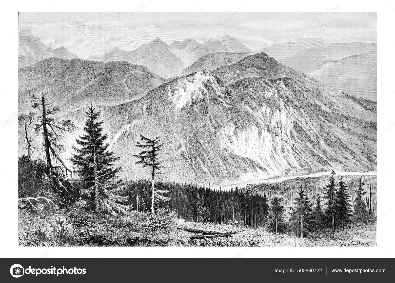 Bialki Valley Viewed Tatra Mountains Tatra Poland Drawing Vuillier ...
