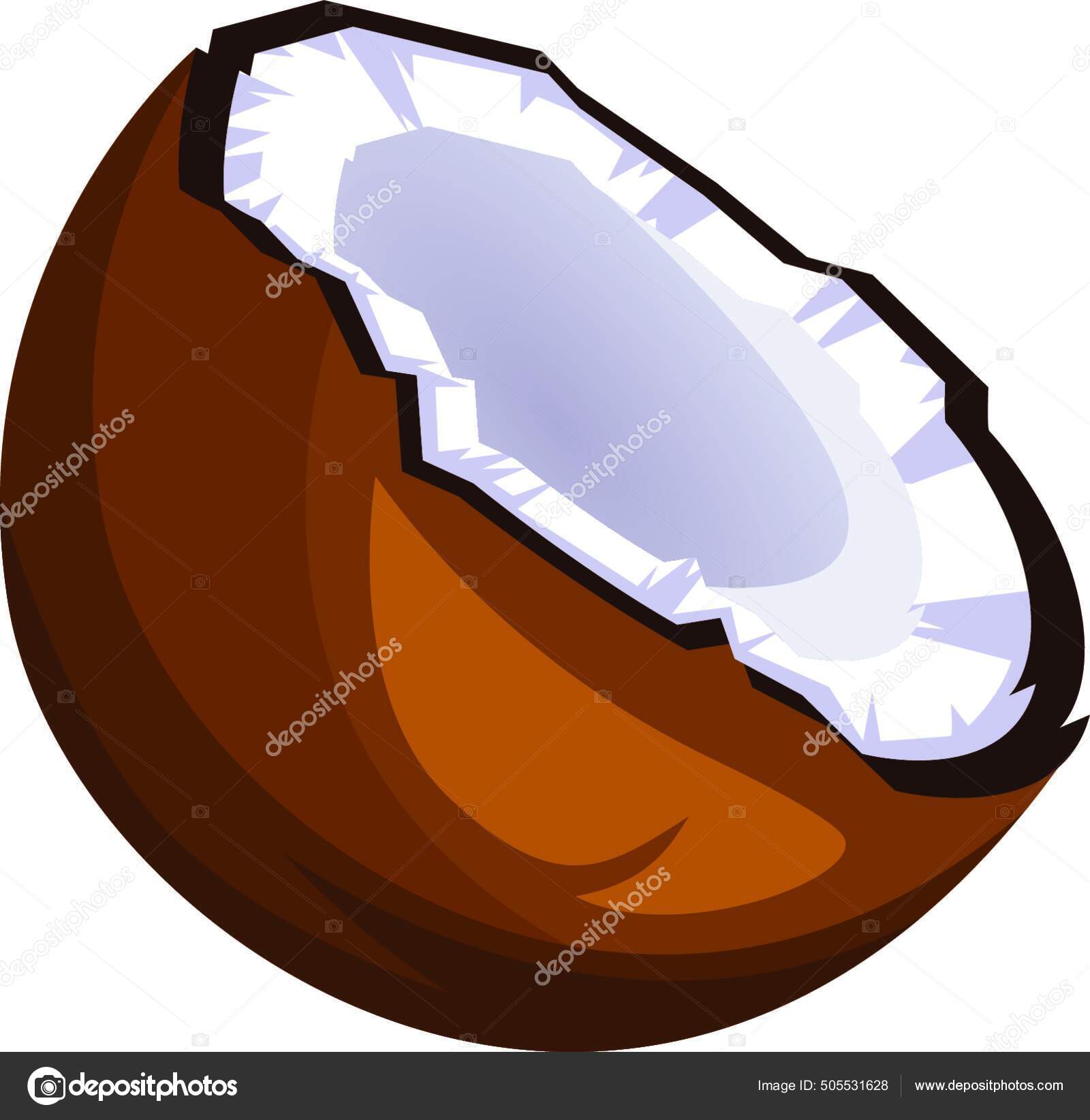 Brown Coconut Cut Half Cartoon Fruit Vector Illustration White ...