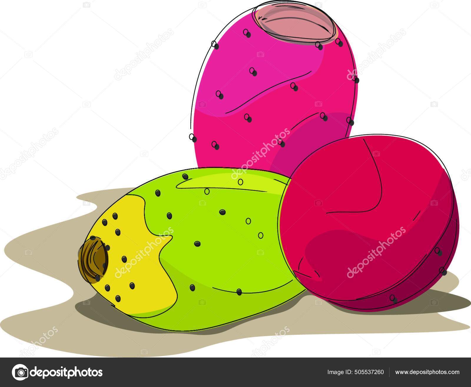 Kind Cactus Plant's Fruits Oval Shaped Red Green Colors Sharp Stock ...