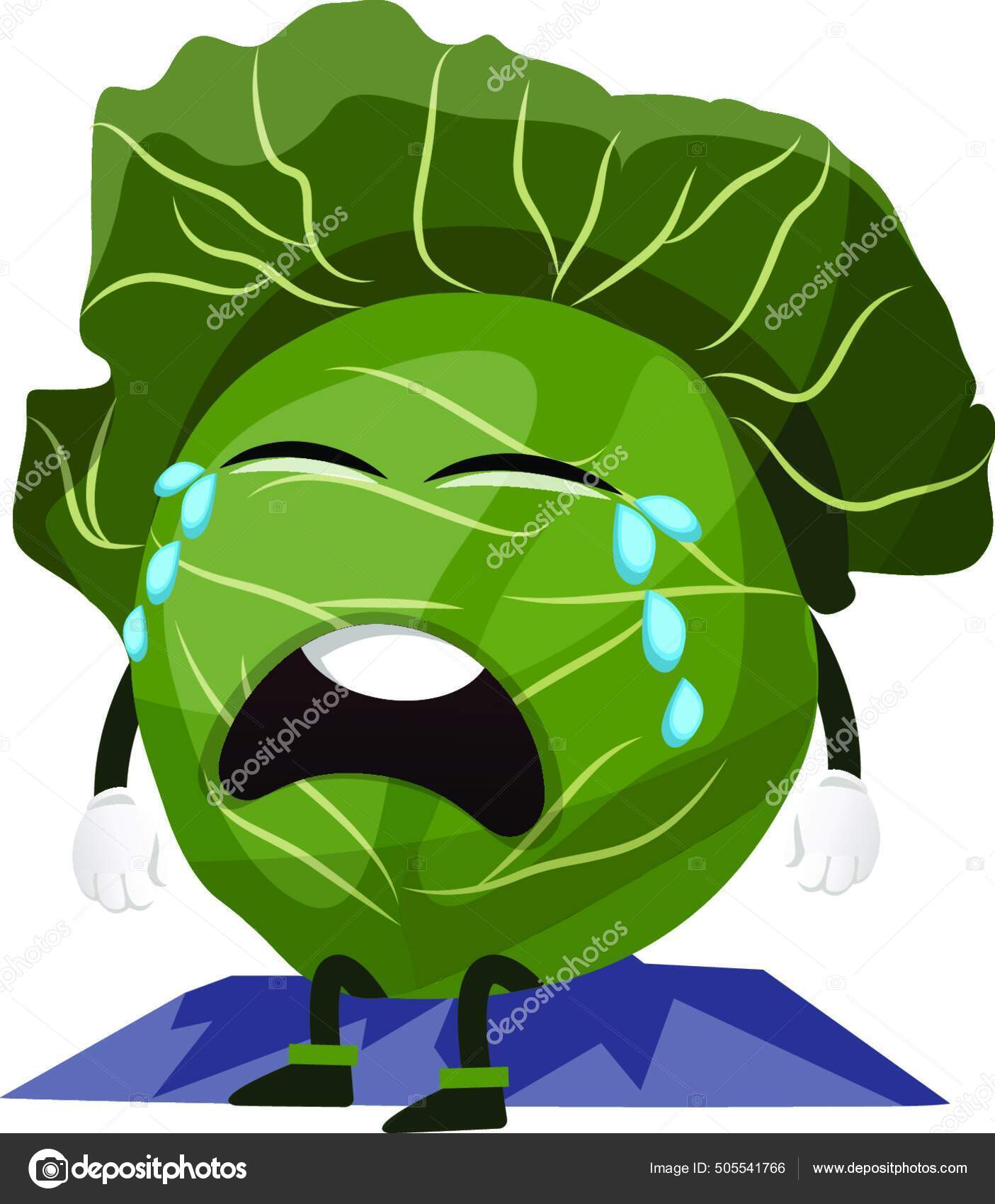 Crying Cabbage Illustration Vector White Background Stock Vector Image ...