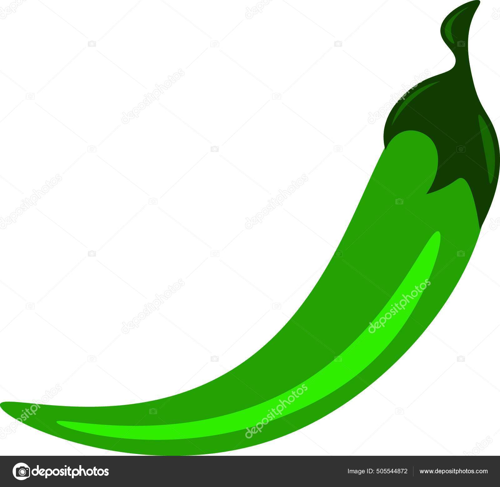Long Spicy Green Pepper Vector Color Illustration Stock Vector by ...