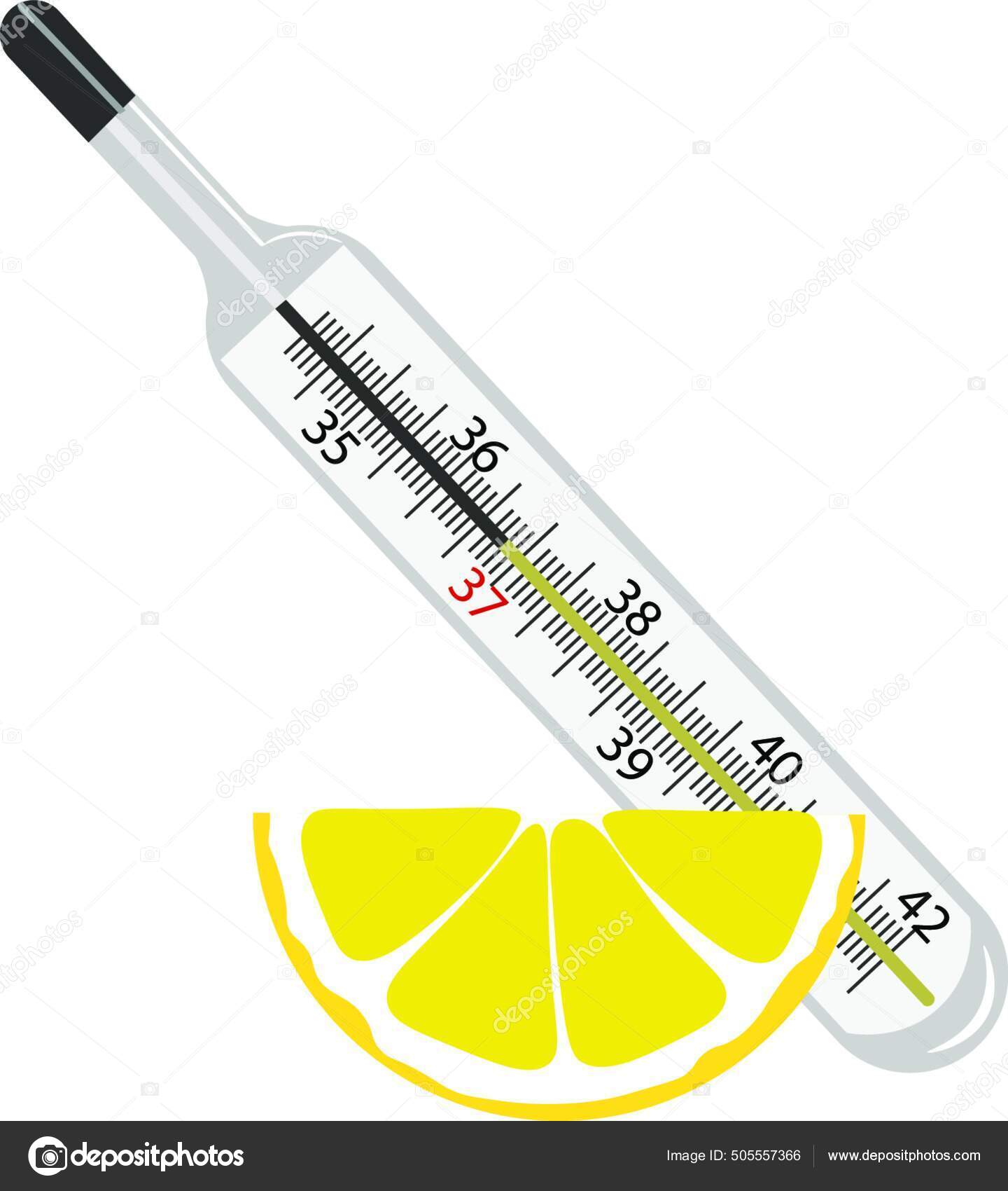Lemon Wedge Lying Close Thermometer Marked Graduations Having One End ...