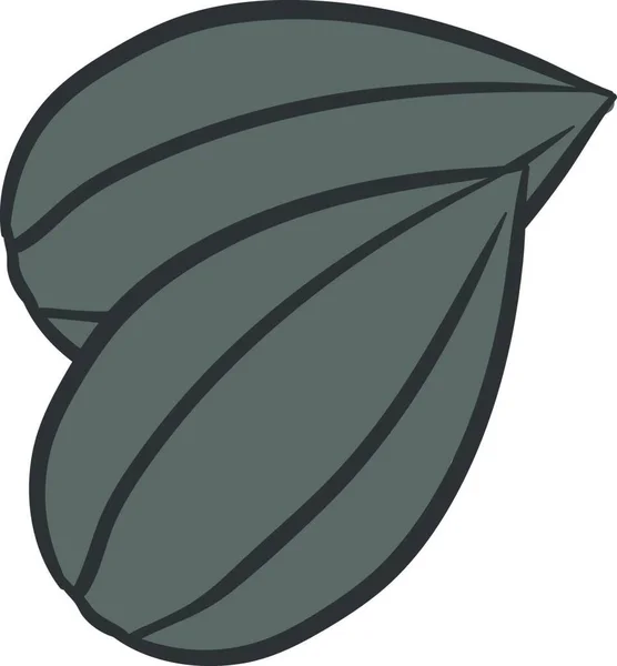 Clipart de dos semillas de girasol que se parece a capas de semillas ...