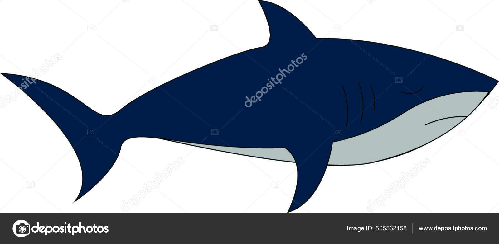 Shark Streamlined Body Forked Tail Triangular Fins Blue White Upper ...