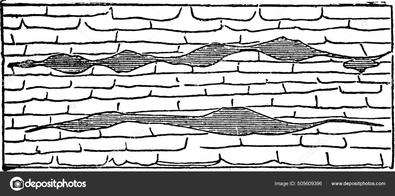 Geological Vein Illustration Showing Horizontal Gash Veins Shaded ...