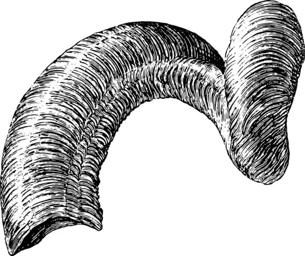 50,573,639 Dysuri Vector Images | Depositphotos