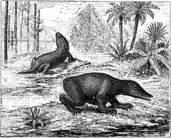 12 Labyrinthodontia Vector Images | Depositphotos