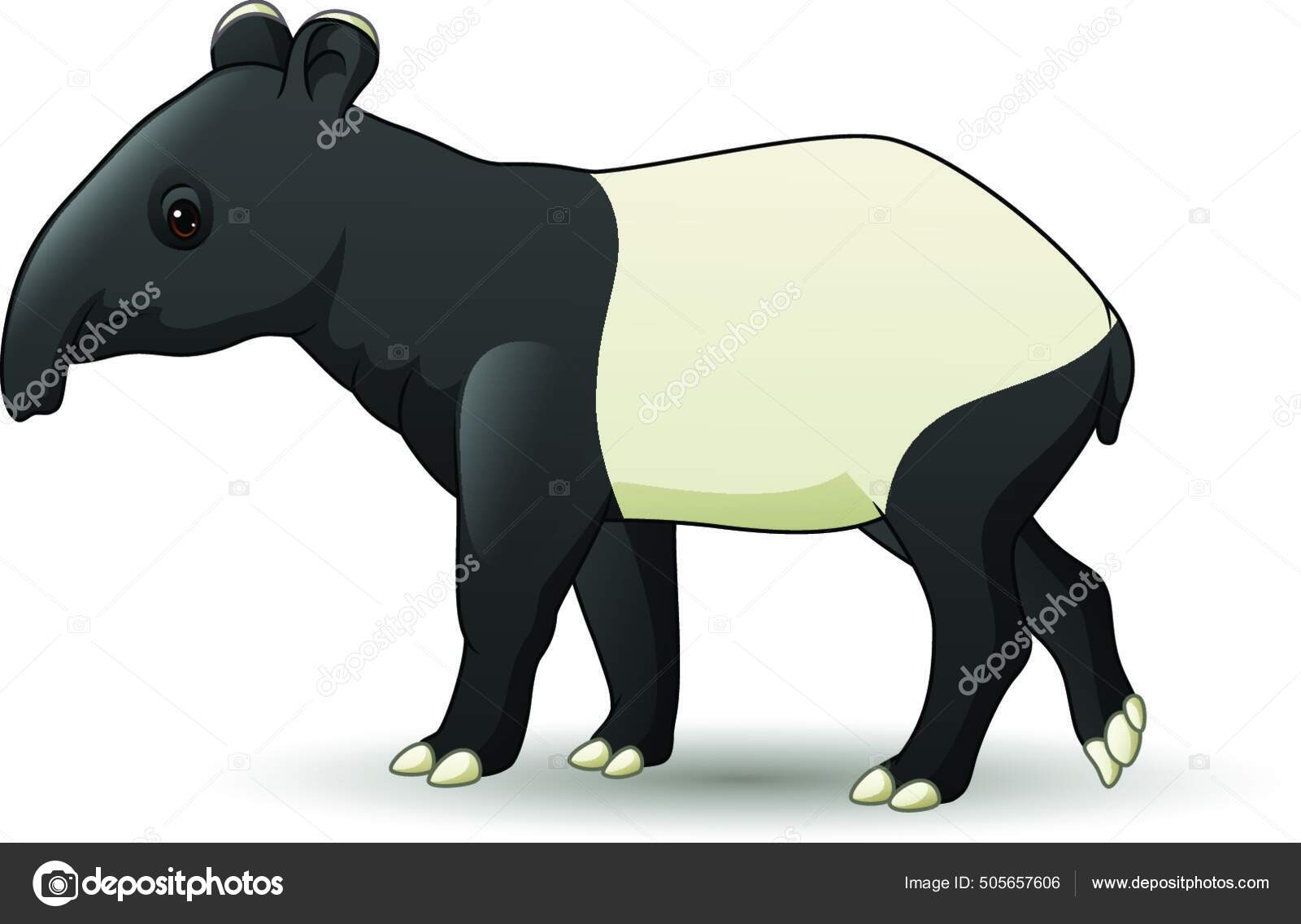 Cartoon Asian Tapir Isolated White Background Stock Vector by ...