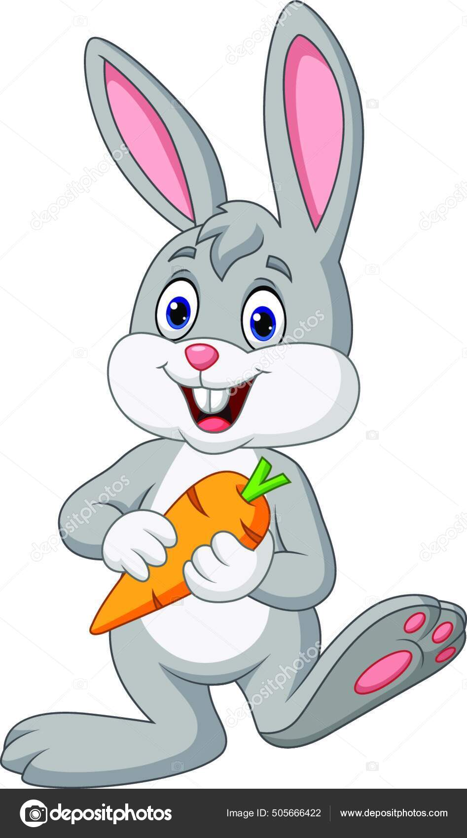 Conejito De Dibujos Animados