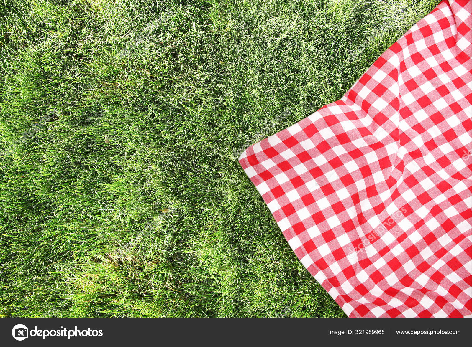 Picnic cloth on green grass background empty space. — Stock Photo © NYS ...