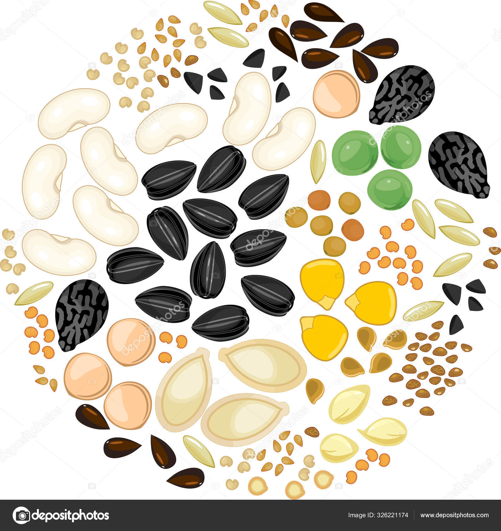 Set Different Vegetable Plant Seeds Isolated White Background Stock ...