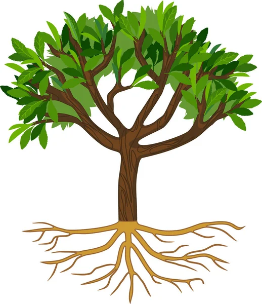 Family planting tree Stock Photos, Royalty Free Family planting tree ...