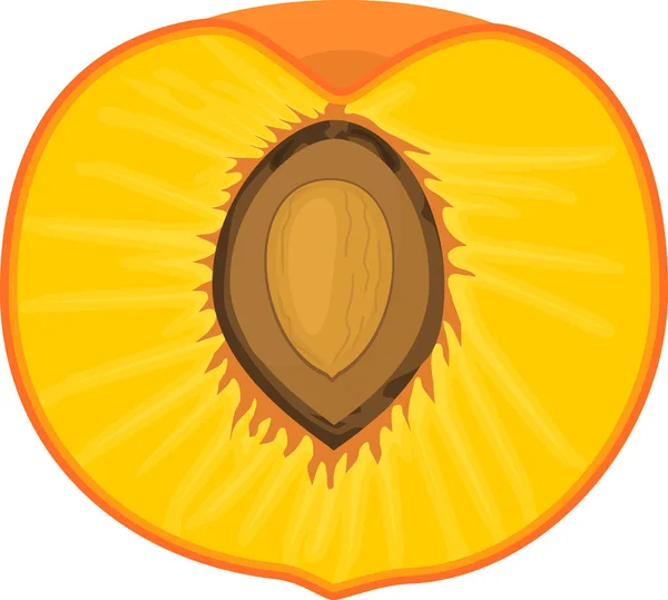 Structure Drupe Stone Fruit Peach Isolated White Background Stock ...