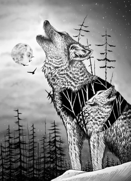 Wolf drawing Stock Photos, Royalty Free Wolf drawing Images | Depositphotos