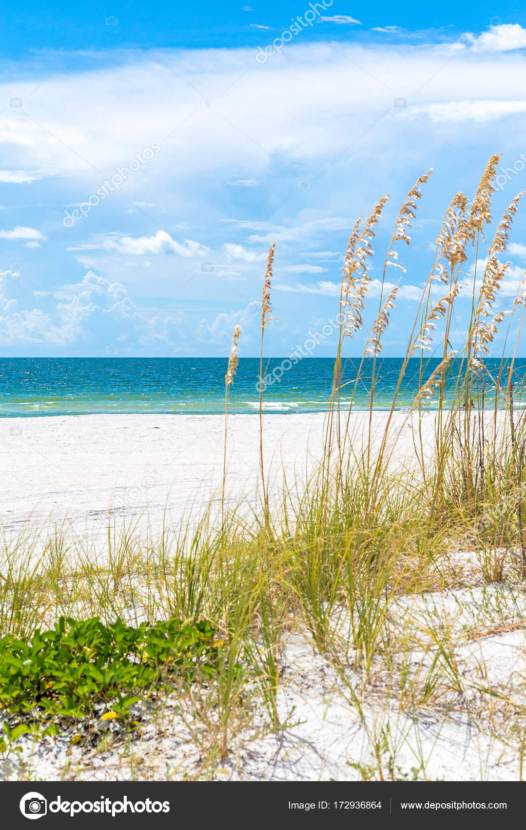 Sunny St. Pete beach with sand dunes and blue sky in Florida — Stock ...