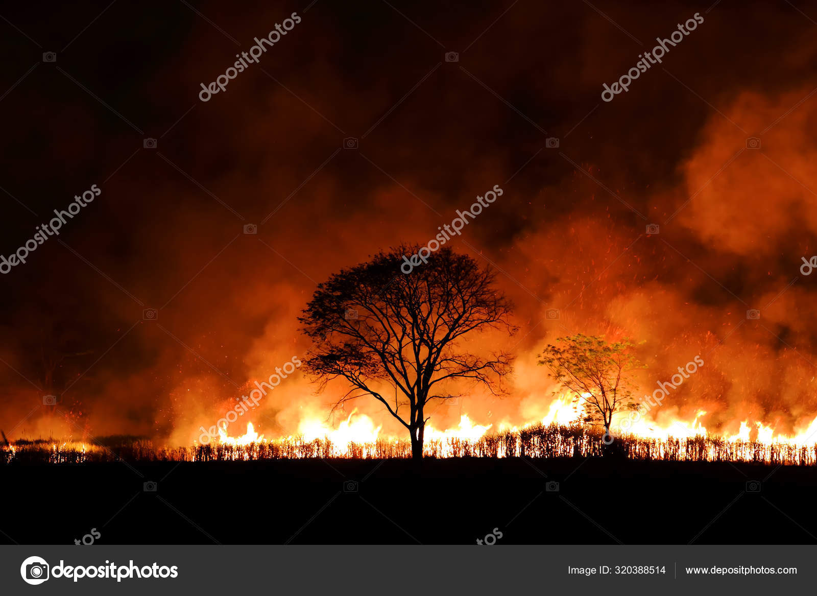 Bushfire Burning Orange Red Smoke Filled Sky Night Stock Photo by ...