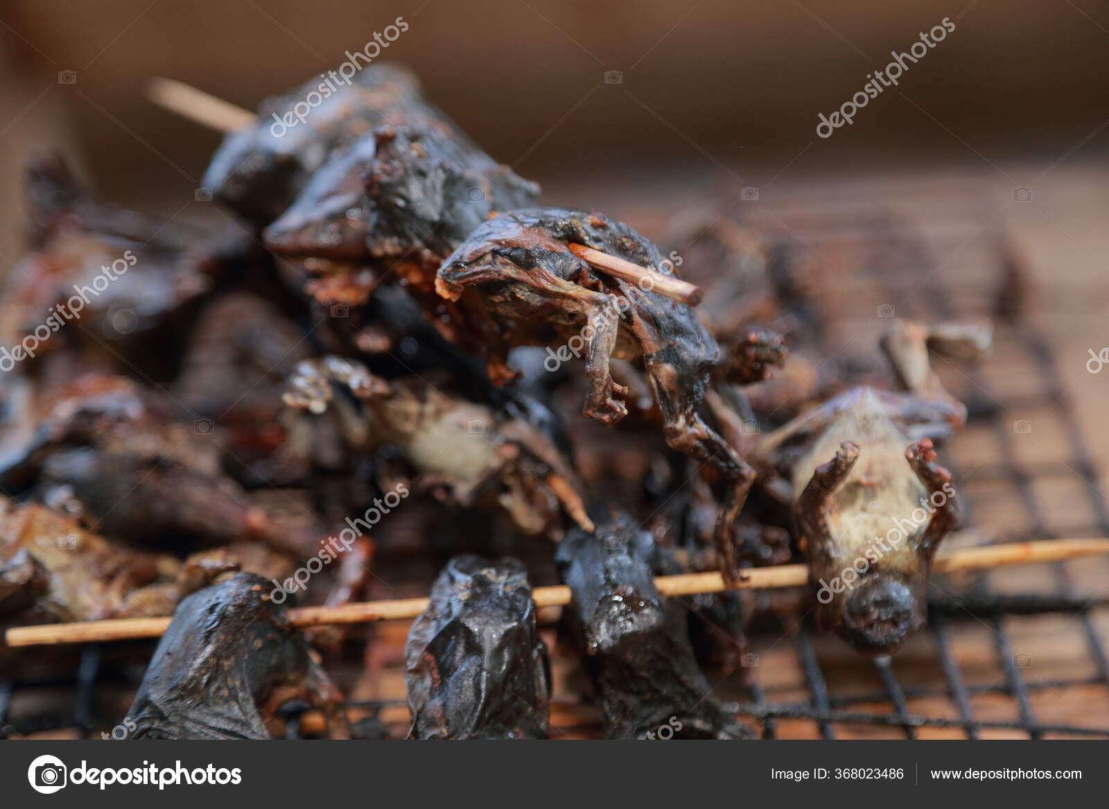 Bulk Bullfrog Stove Food Later Food Rare — Stock Photo © Narin_Photo ...