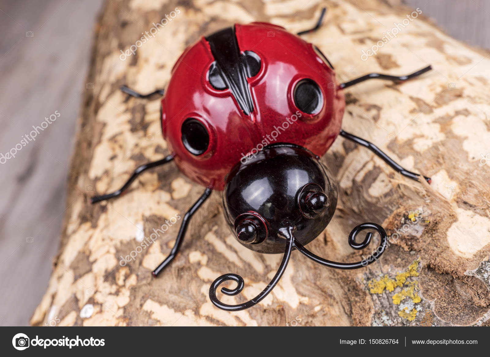 Ladybug as decoration on the tree trunk — Stock Photo © kelifamily ...