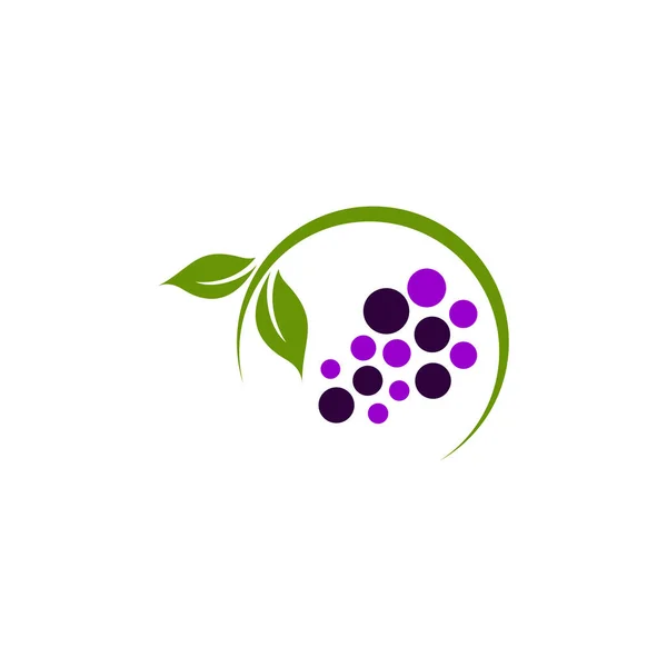 Grape logo Vector Images | Depositphotos