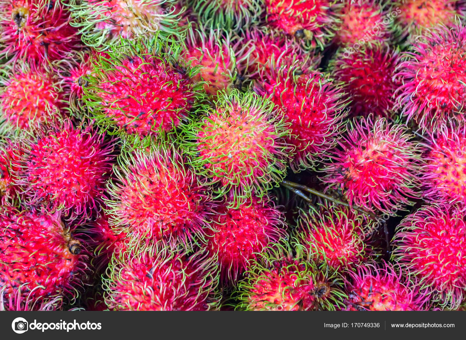 Bunch of rambutans Stock Photo by ©Yakov_Oskanov 170749336